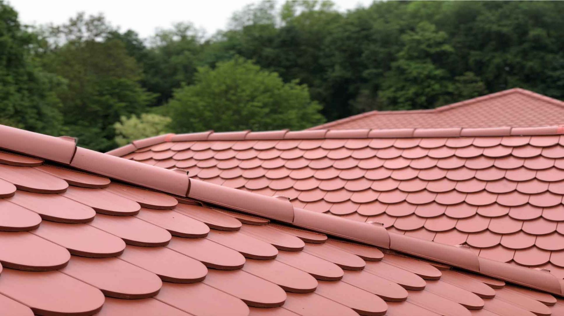 Ihr Profi fürs Steildach | STEIGER Dach & Fassade